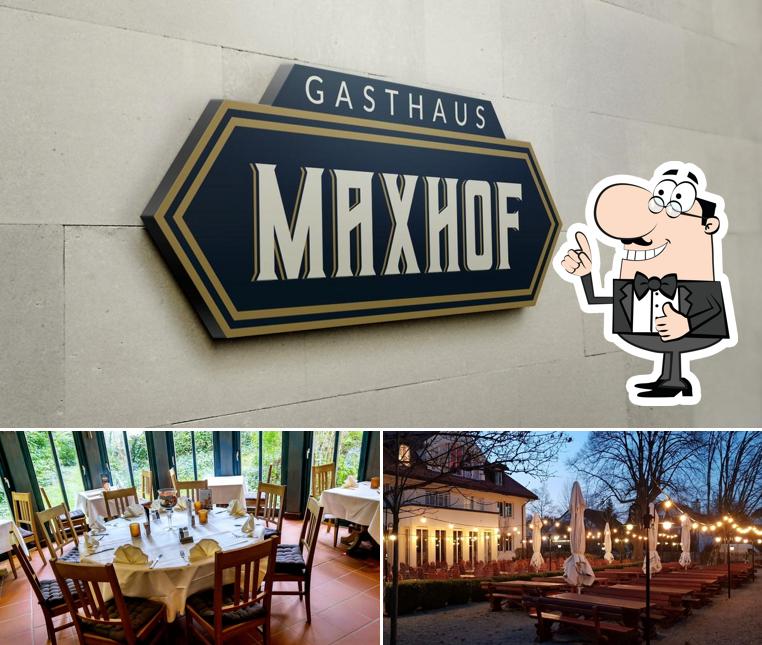 Gasthaus Maxhof, München - Speisekarte, Preise und Bewertungen