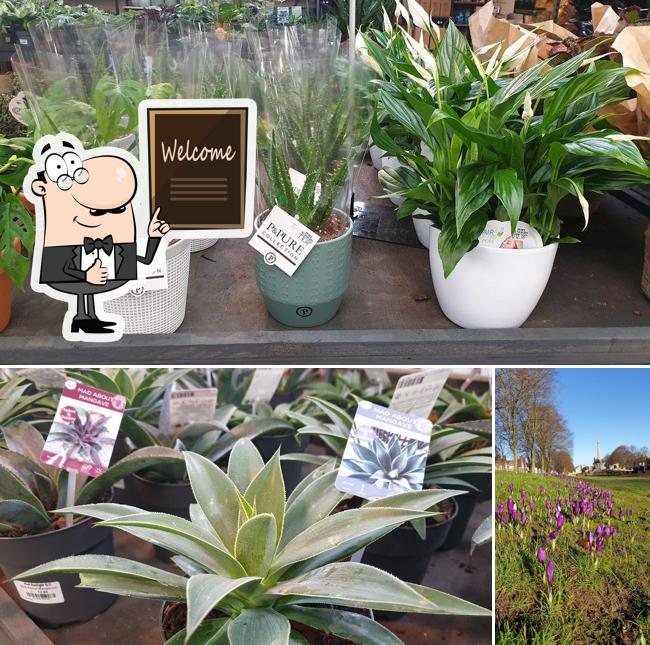 Port Sunlight Garden Centre and Restaurant, The Causeway in Birkenhead
