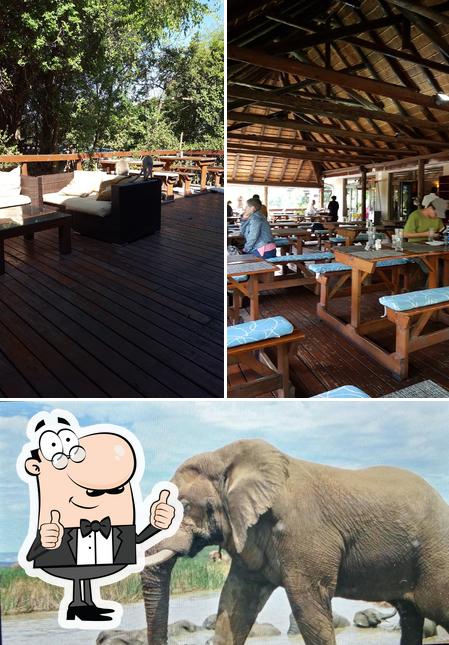Menu of Addo Cattle Baron Grill & Bistro, South Africa - reviews and ...
