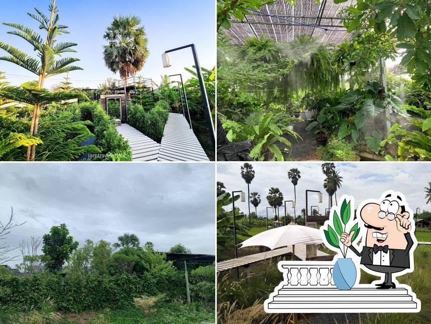 MONSTERA CAFE’ ANGTHONG มอนสเตอร่า คาเฟ่ อ่างทอง, Chaiyo - Menú del ...