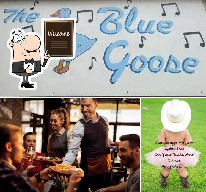 The Blue Goose Bar & Grill, De Leon - Restaurant menu, prices and reviews