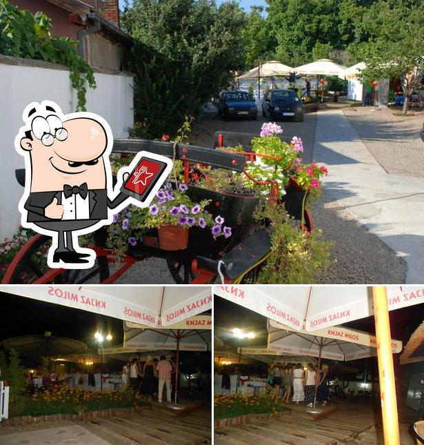 Club COLE, Paraćin