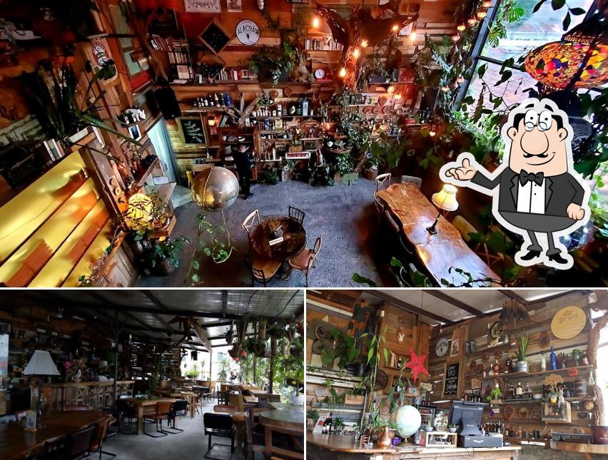 Alambique, Medellín - Restaurant menu, prices and reviews