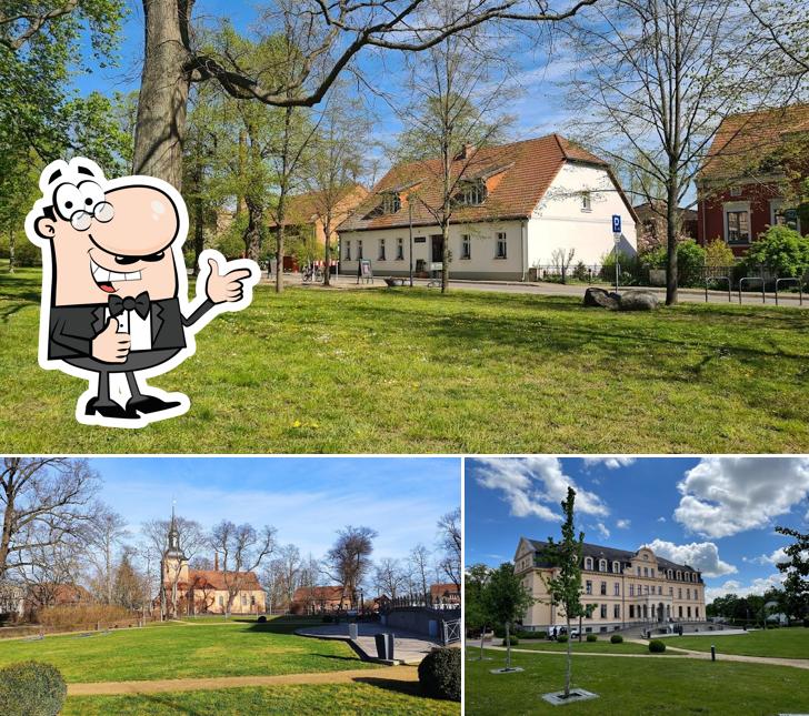 Schloss Ribbeck restaurant, Nauen - Menu du restaurant et commentaires