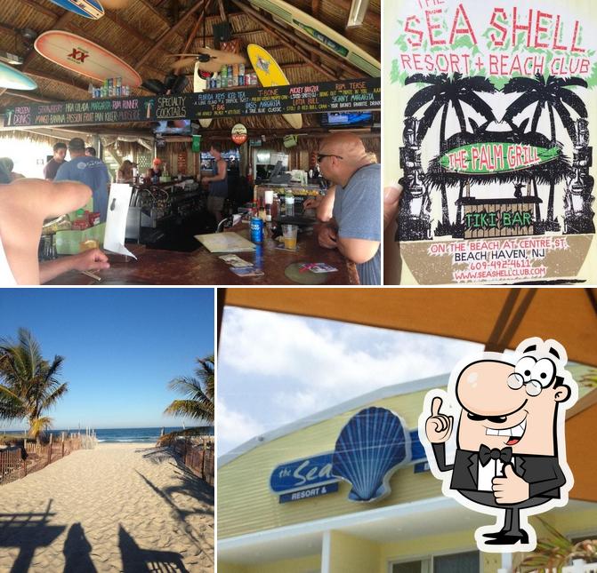 The Shell Nightclub in Beach Haven - Restaurant menu and reviews