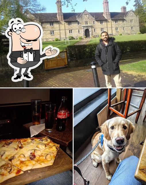 CJ's Cafe Bar in East Grinstead - Restaurant menu and reviews