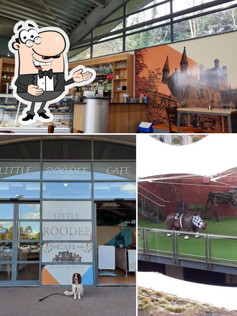 Little Roodee Cafe in Chester - Restaurant reviews