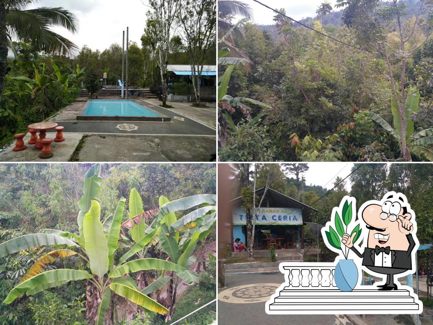 Taman Anak TIRTA CERIA cafe, Munduk - Restaurant reviews