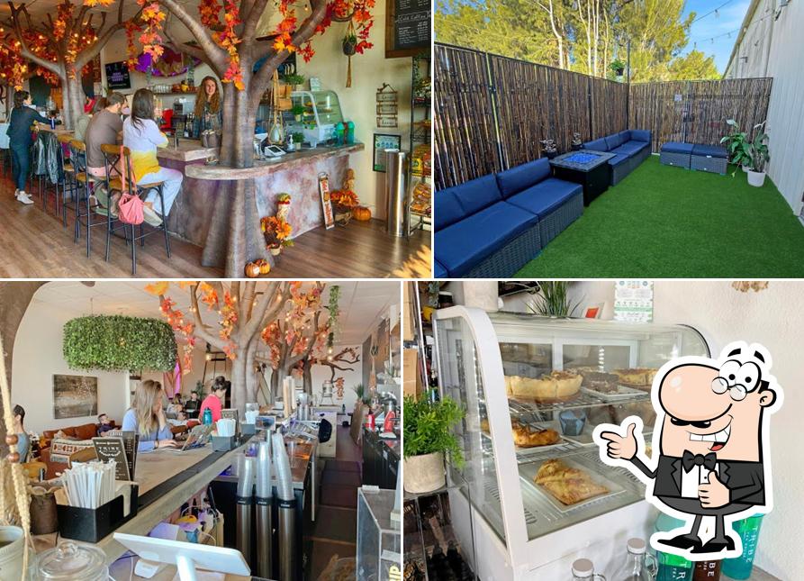 Tribe Tea House in Kenneth City - Restaurant menu and reviews