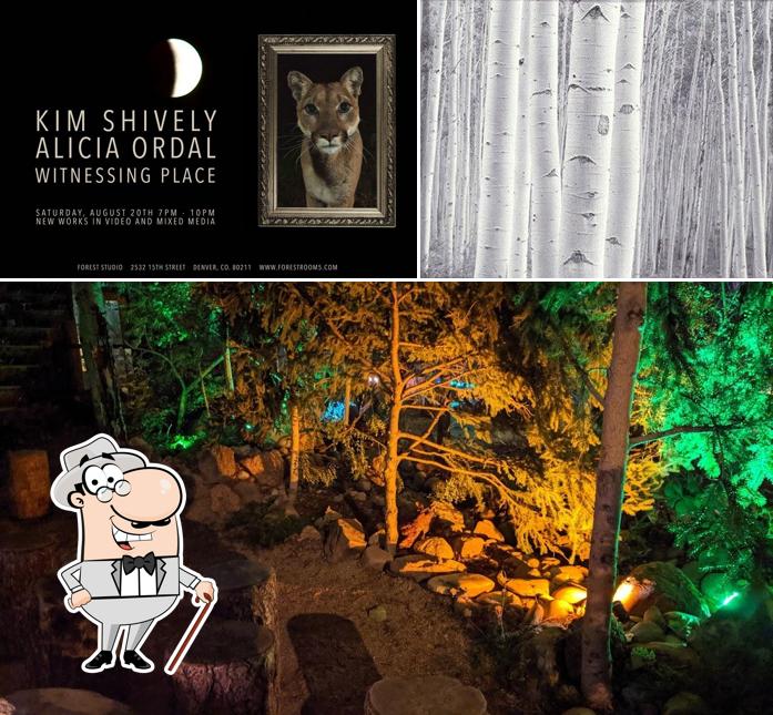Forest Room 5, Denver - Restaurant menu, prices and reviews