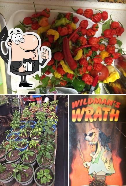 Wildman's Wrath Hot Sauce in Toms River