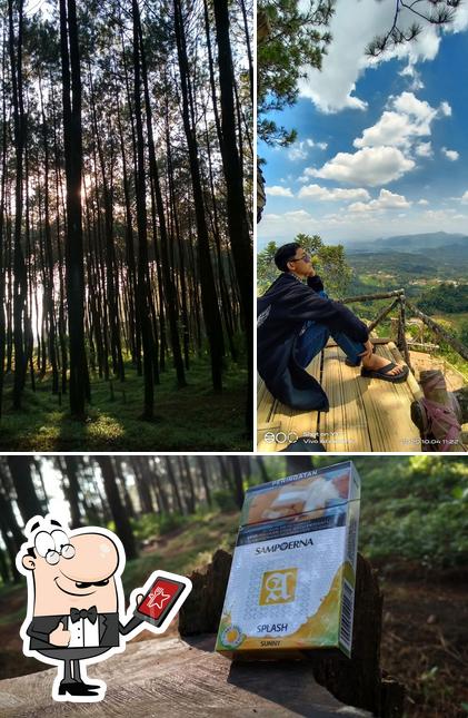 wisata alam kebun pinus panyandaan pub & bar, Cililin - Restaurant reviews