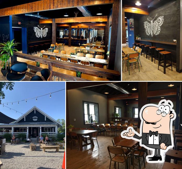 Nocterra Brewing in Powell - Restaurant reviews