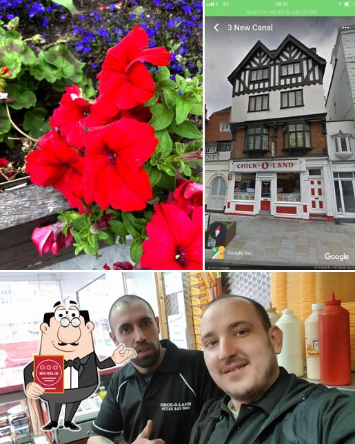 Chick-O-Land in Salisbury - Restaurant menu and reviews