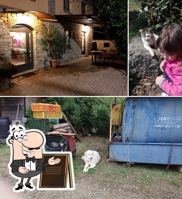 Agriturismo Le rondini restaurant, Gazzola, Località Lodino