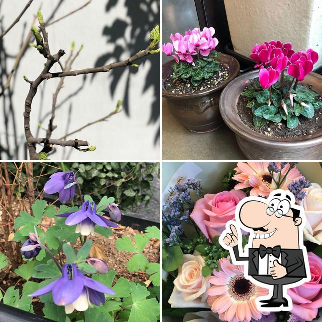 Coffee Mallard restaurant, Seoul - Restaurant reviews