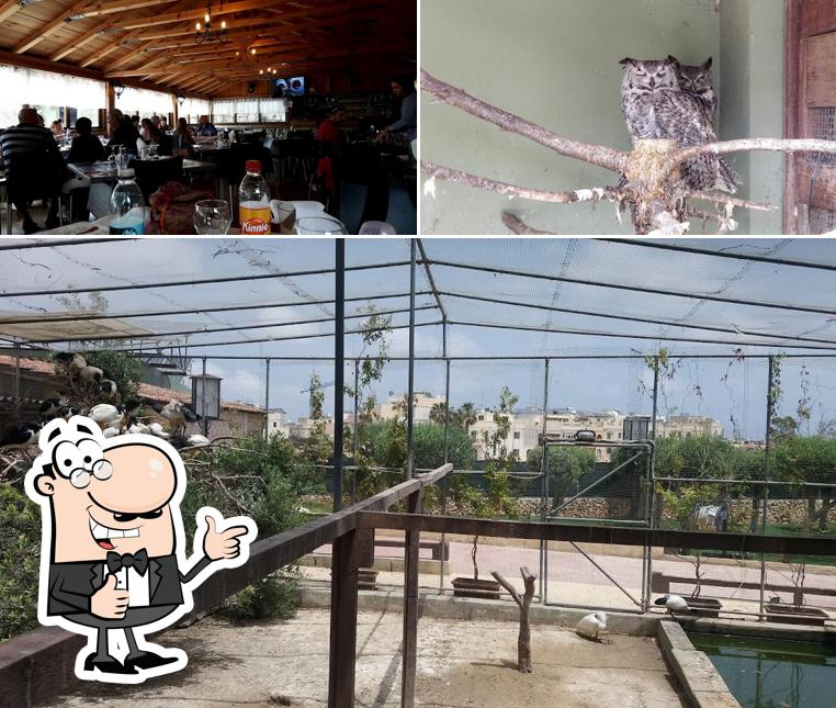 Ta' Susina Farmhouse, Haz-Zebbug - Restaurant menu, prices and reviews