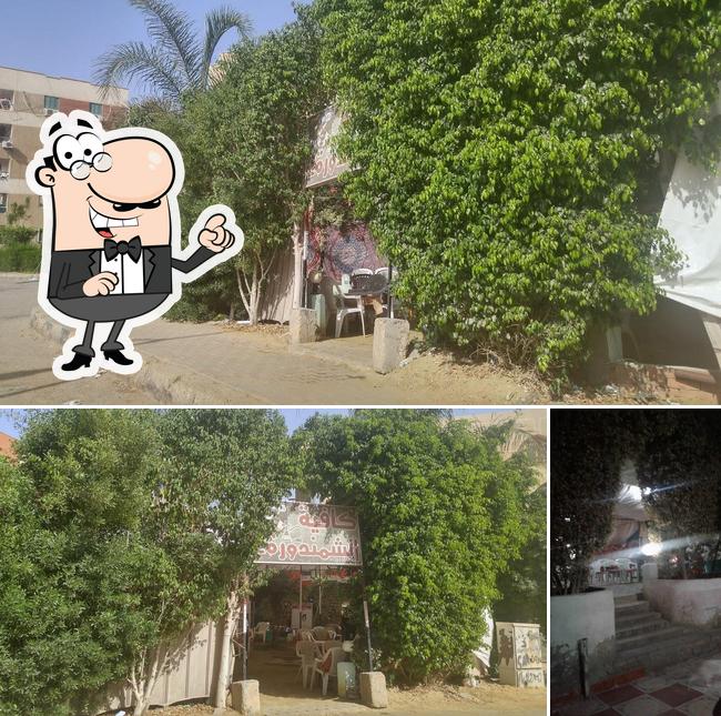 El Shamandora - Restaurant menu, prices and reviews