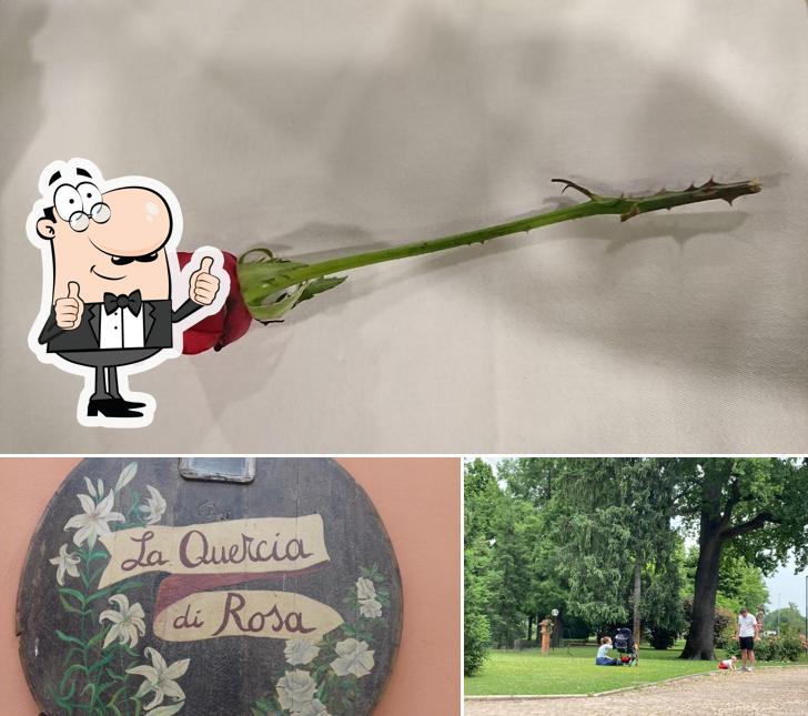 Ristorante La Quercia di Rosa, Modena - Menu e recensioni del ristorante