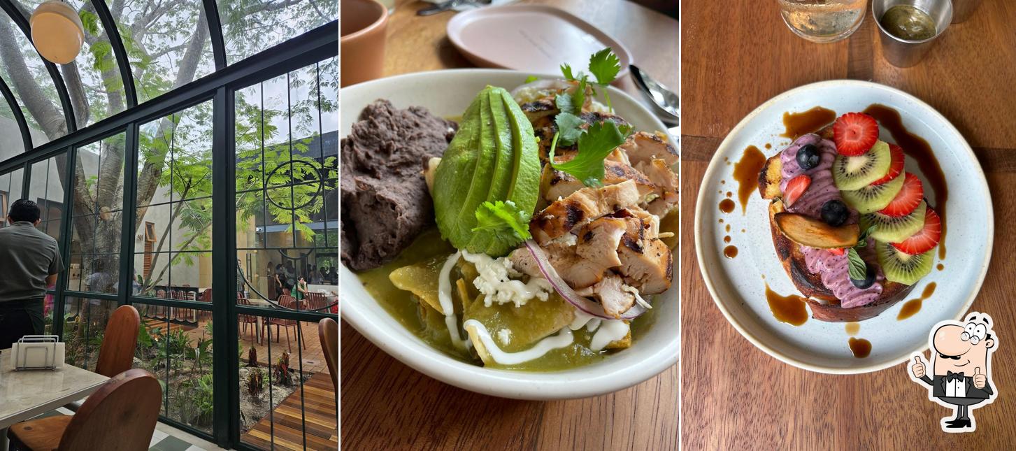 Te Extraño, Extraño - Temozón, Merida - Menú del restaurante, precios y ...
