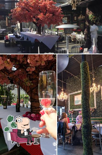 The Treehouse, Belfast - Restaurant menu, prices and reviews