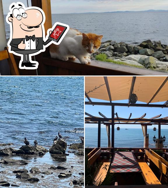 Sea view restaurant and bar EOS, Nessebar - Restaurant menu, prices and ...