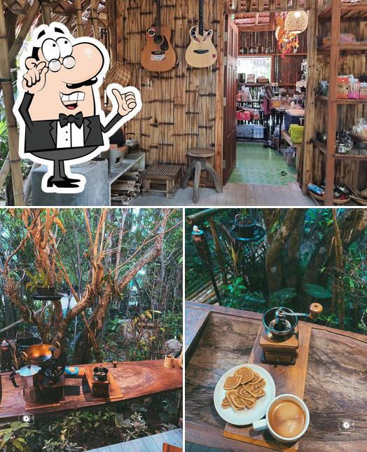 The Forest Fresh Coffee cafe, Choeng Thale - Restaurant reviews