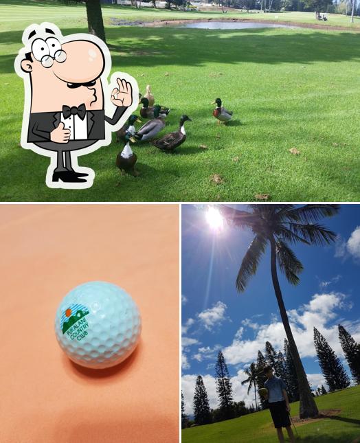 Pukalani Country Club in Makawao - Restaurant menu and reviews