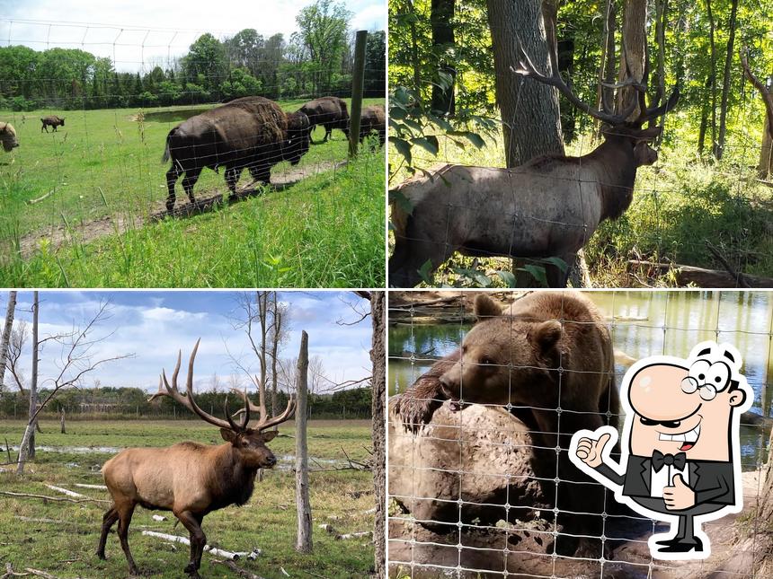 Shalom Wildlife Zoo in West Bend - Restaurant reviews