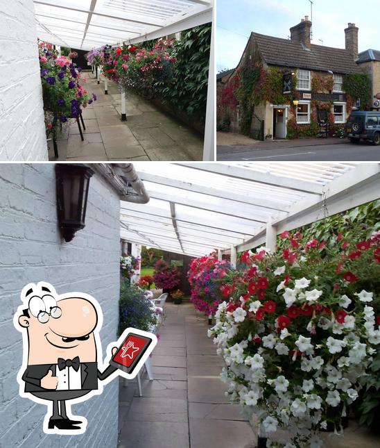 Cross Keys, Peterborough - Restaurant menu, prices and reviews