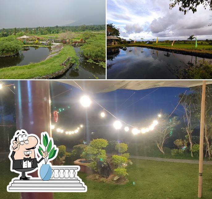 Aguas Farm Cafe, Santo Domingo - Restaurant reviews