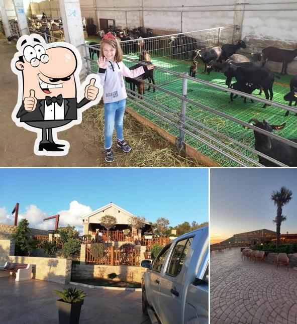 Национални ресторан Царевић restaurant, Krimovica - Restaurantbewertungen