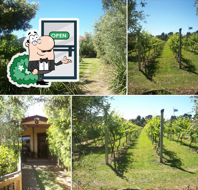 Lazzar Wines in Balnarring - Restaurant reviews