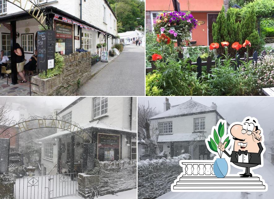 The Plantation Tea Rooms, Polperro - Restaurant menu, prices and reviews