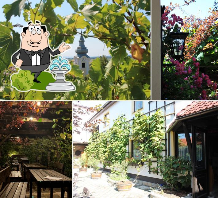 Heuriger Reischer pub & Bar, Bad Vöslau - Restaurantbewertungen