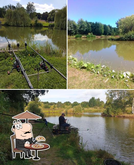 Pool Bridge Farm - Wild Swimming, Wellbeing & Camping in York ...