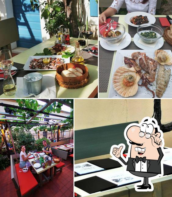 RESTAURANT KONOBA ANTIKA, Zaton - Restaurant menu and reviews
