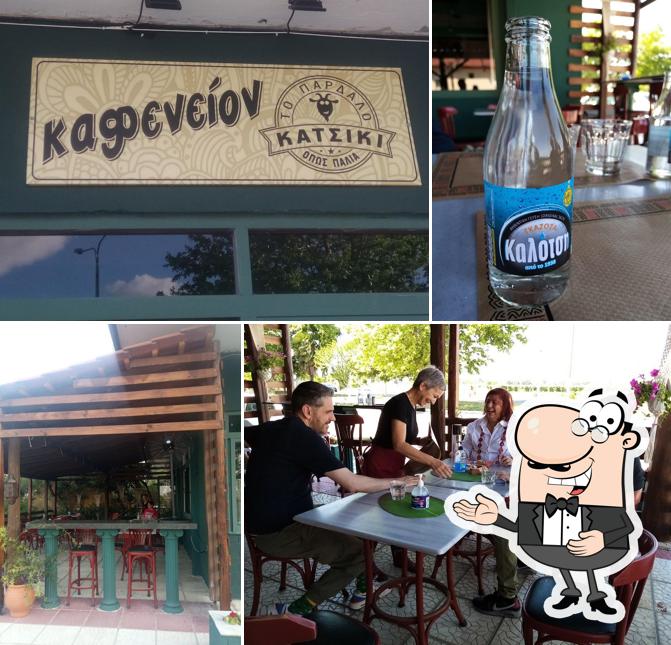 ΤΟ ΠΑΡΔΑΛΟ ΚΑΤΣΙΚΙ, Kipseli - Restaurant reviews