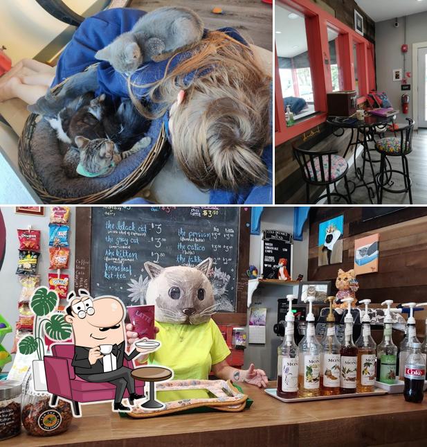Caffeinated Cat in Jacksonville Beach - Restaurant menu and reviews