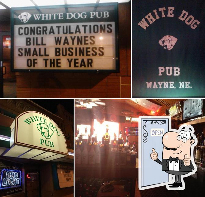 White Dog Pub in Wayne - Restaurant reviews