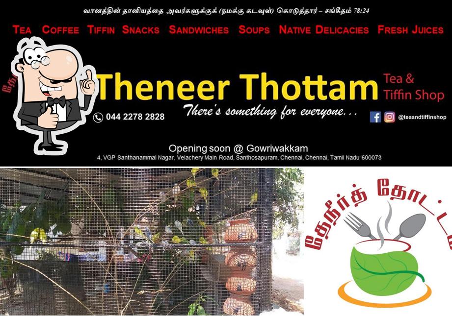 Theneer Thottam, Chennai - Restaurant reviews