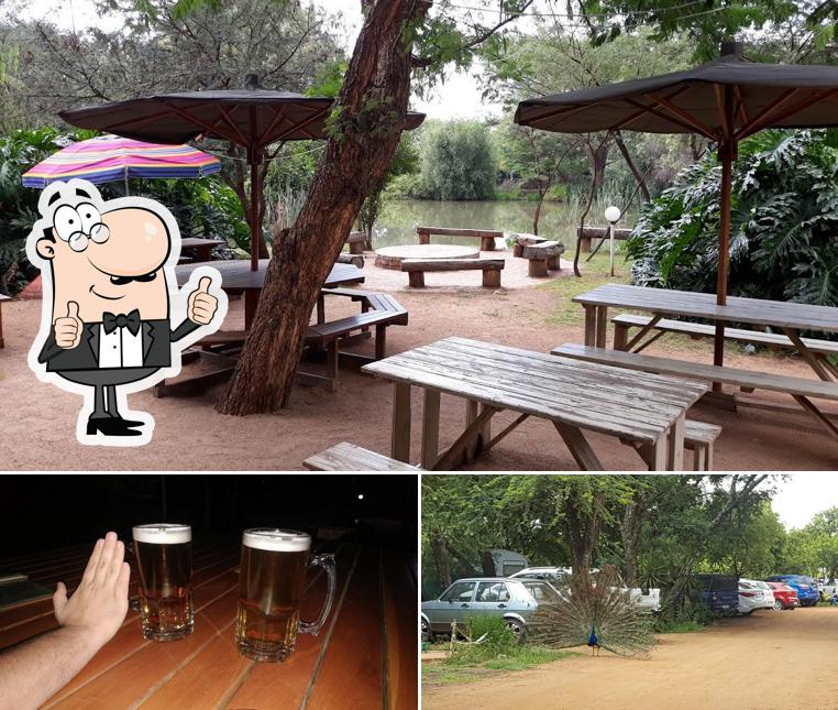 The Willow Tree Pub & Grill, Pretoria - Restaurant reviews