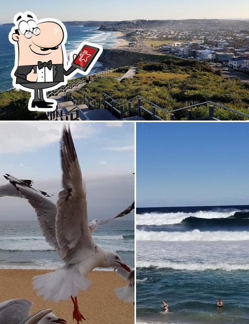 Swell Kiosk Bar Beach, Bar Beach - Restaurant menu, prices and reviews