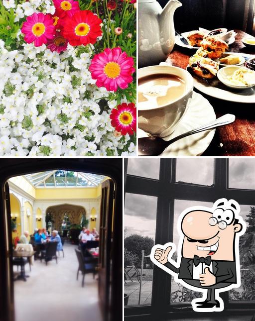 The Orangery Tea Rooms, Whitstable - Restaurant menu, prices and reviews