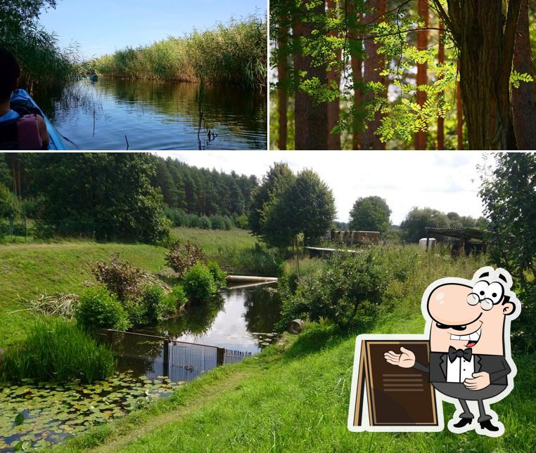 Havel-Nationalpark-Fischerei - Speisekarte, Preise und Bewertungen