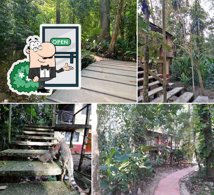 Restaurante El Panchan, Palenque, Km 4 - Opiniones del restaurante