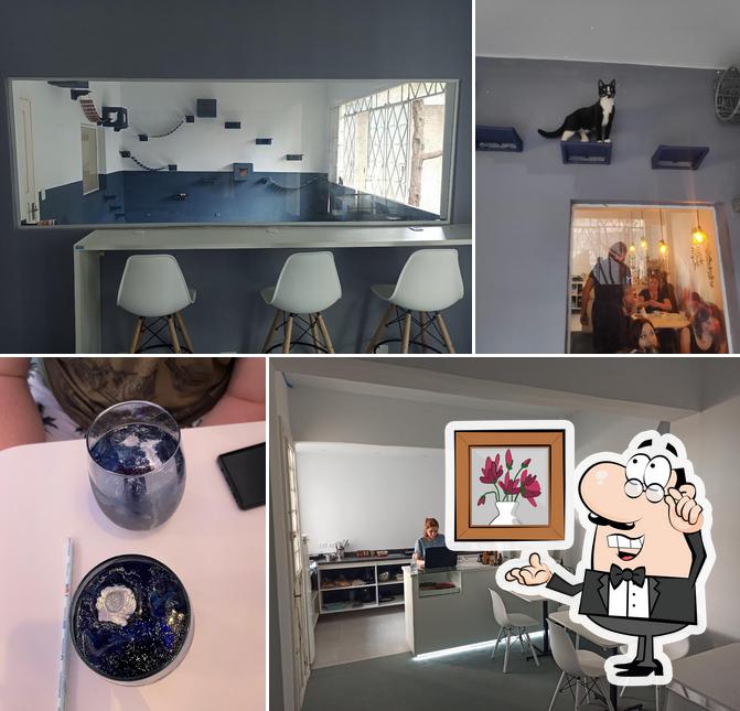 SPACE CAT coffee, Curitiba - Restaurant reviews