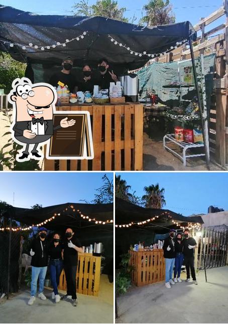 SEÑOR CAFÉ, Cabo San Lucas