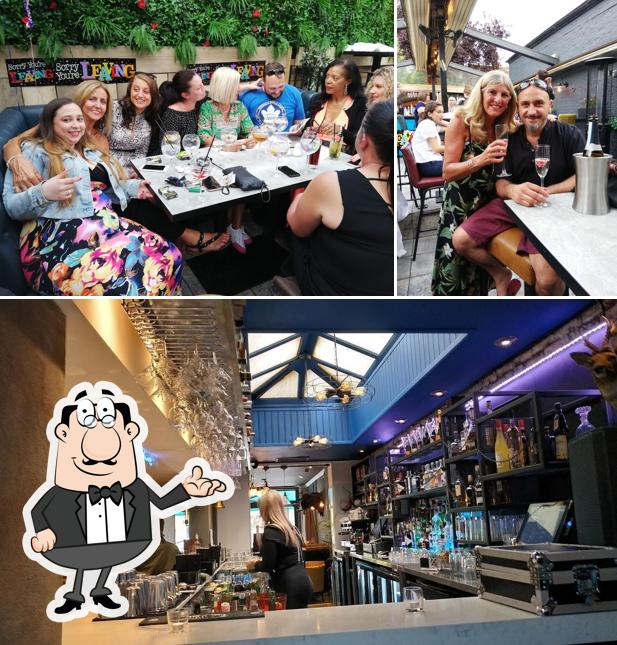 Moon Lounge Bar Beckenham, Beckenham - Restaurant menu, prices and reviews