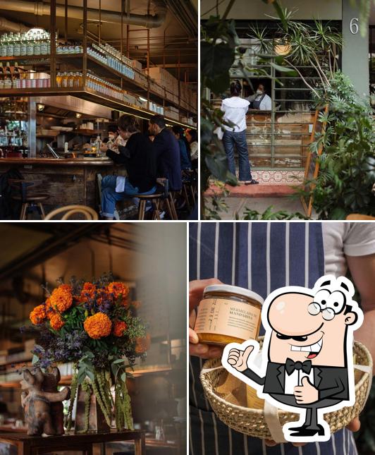 Lardo, Mexico City, Chapultepec - Restaurant menu, prices and reviews